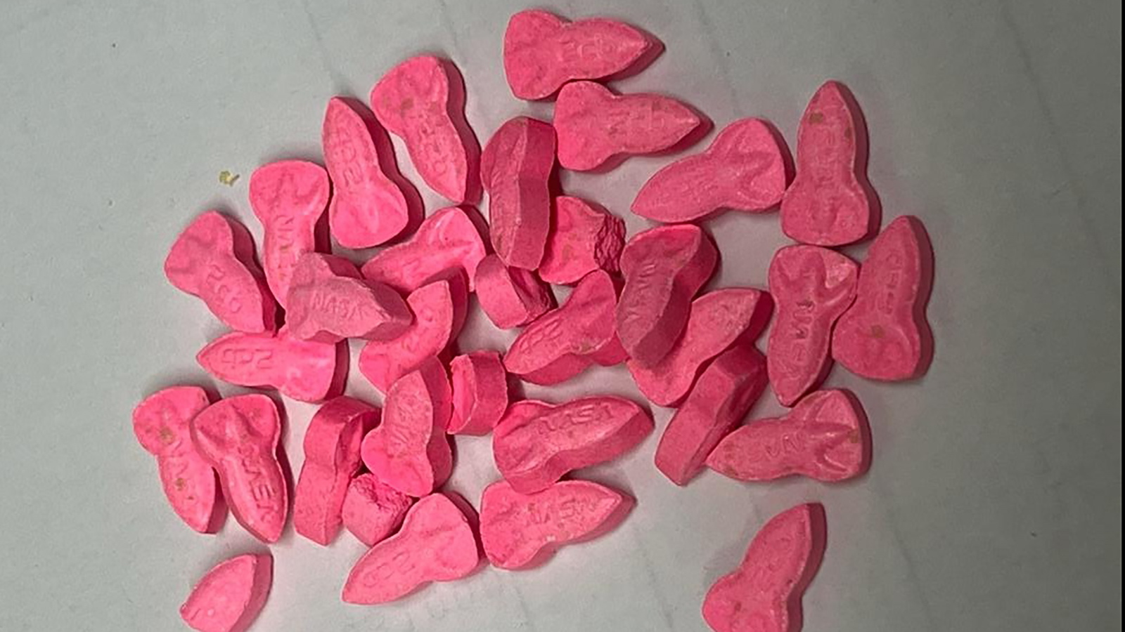 A Sestri, nella casa del pusher incensurato, più di 500 pastiglie di ...