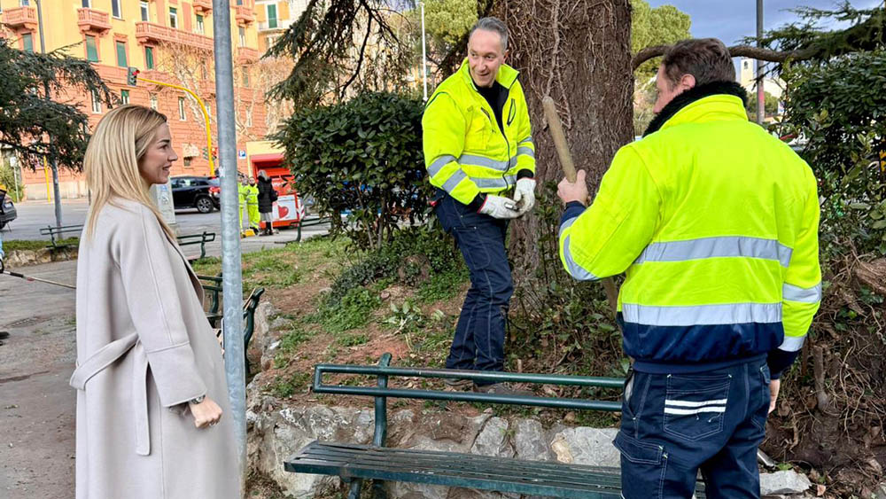 Palme giù entro la settimana e 1 milione in più per gli alberi: parte ...